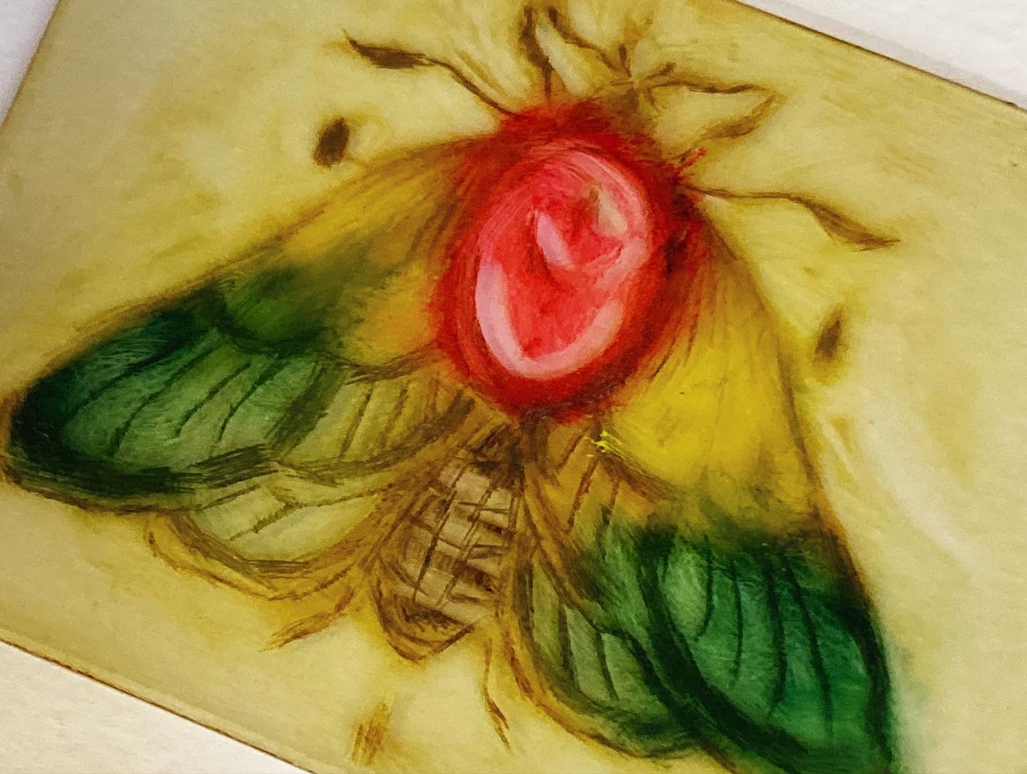 Classes 2024 – Cardiff Print Workshop