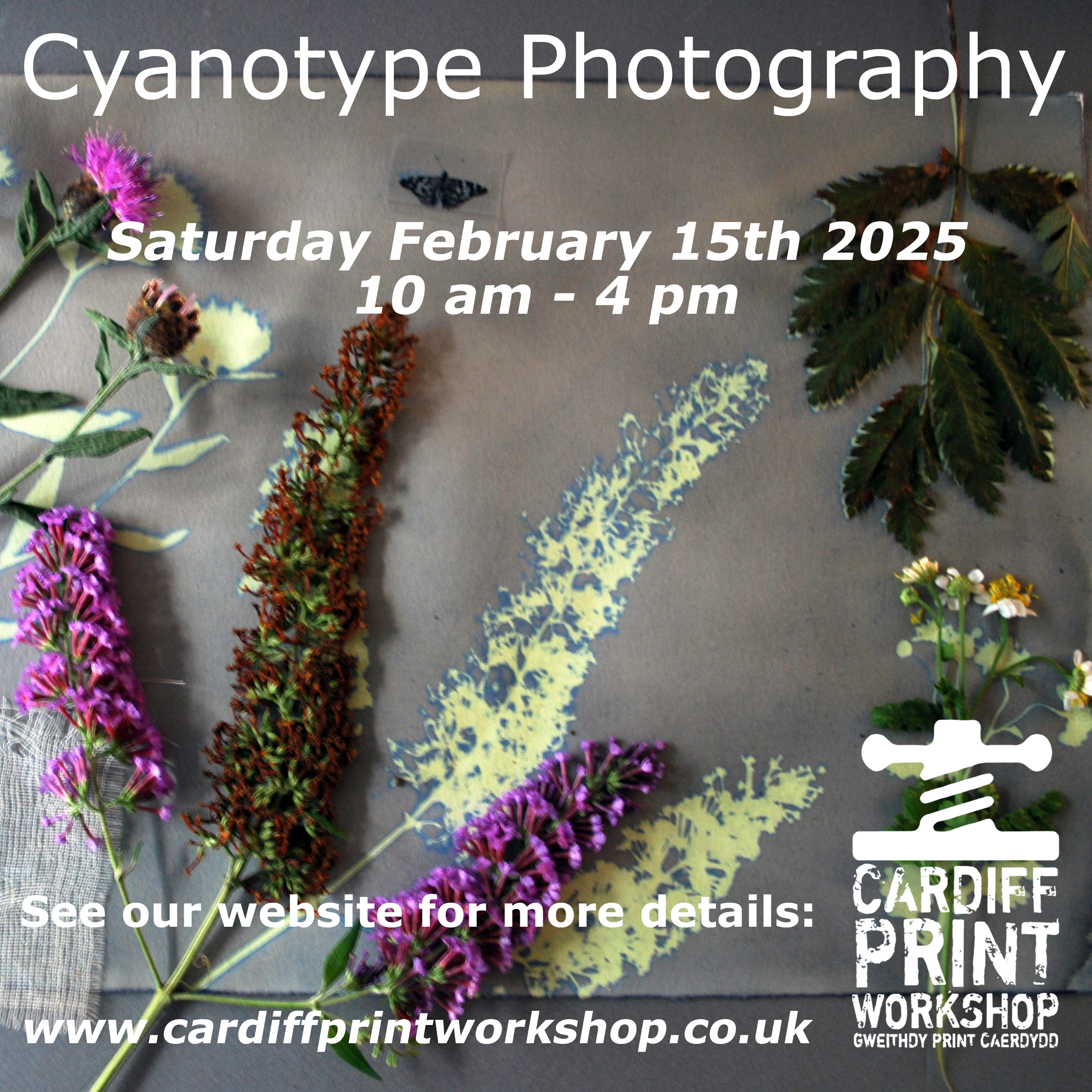New classes for the Spring! – Cardiff Print Workshop